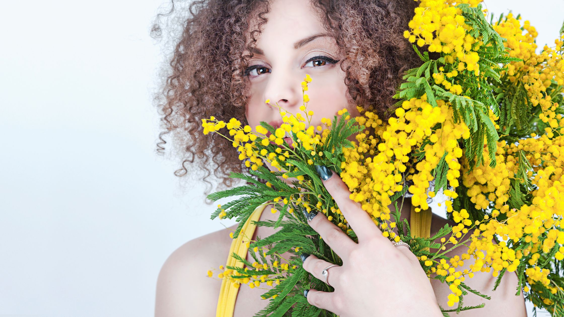 La mimosa: fiore della donna e fiore della pelle. Scopri 3 usi ...